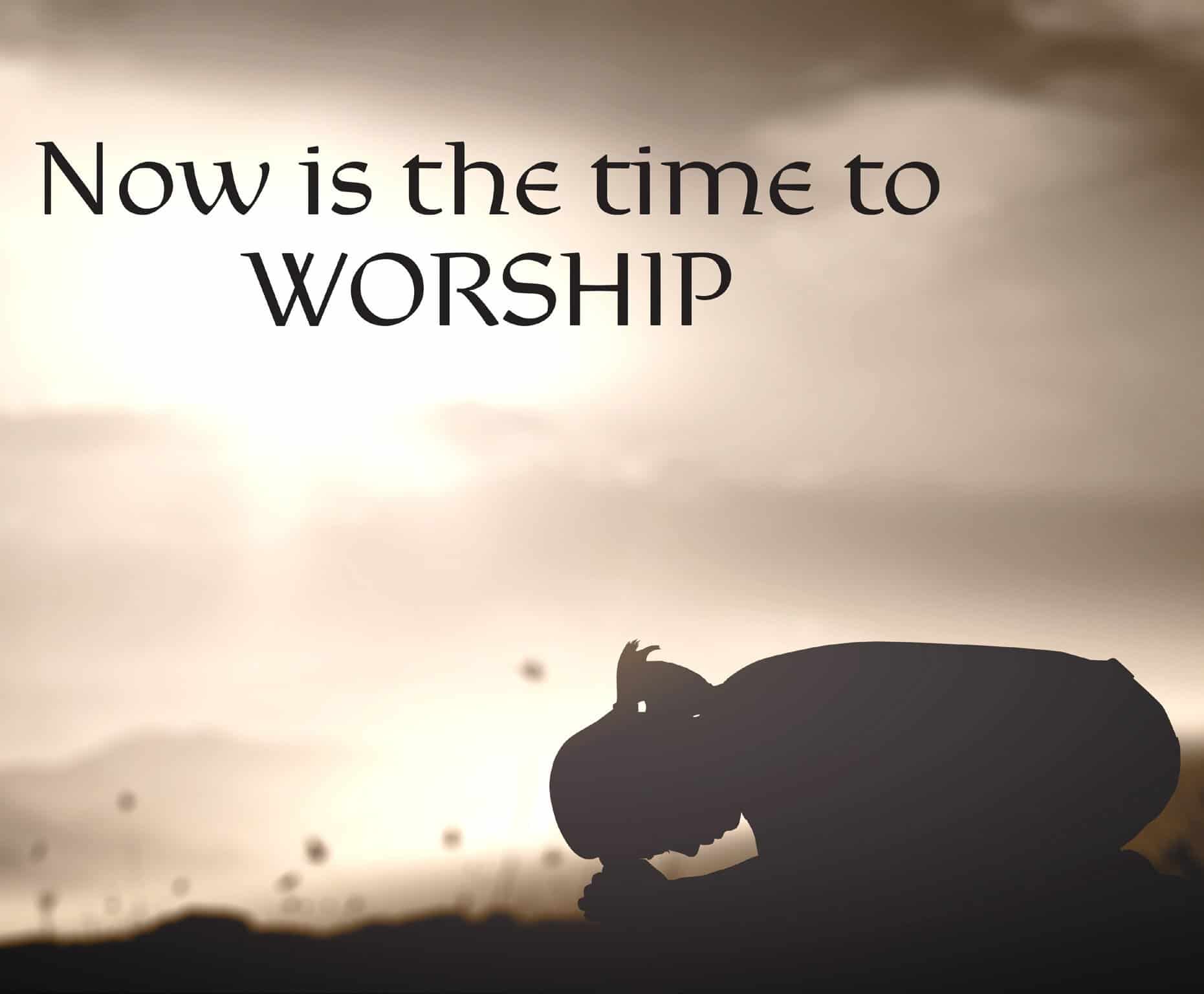 The Dangerous Act of Worship | St. Andrew's Presbyterian Church